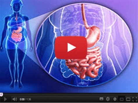 Peroneal Fibular Nerve Pain Exercises Health With Wellness Inbox