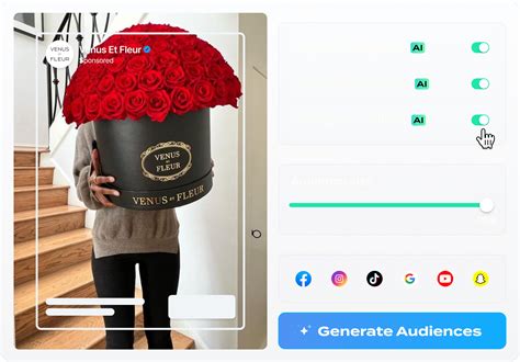 Ai Audiences