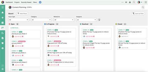 Organize Tasks With An Issue Tracking System Nulab