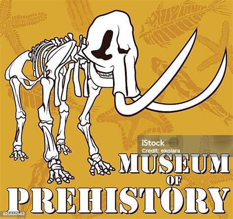 선사 시대의 고생물학 배경 박물관에 매머드의 벡터 골격 고고학에 대한 스톡 벡터 아트 및 기타 이미지 고고학 전단지 고대의 Istock