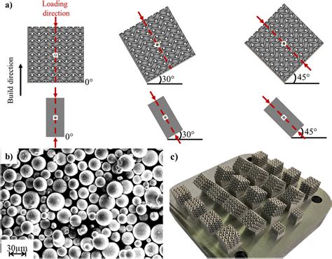 A Illustration Of Lattice And Solid Specimens Fabricated At Different