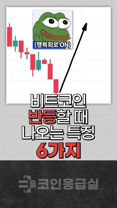 비트코인 반등 시그널 놓치지 말아야 할 6가지 특징 Youtube