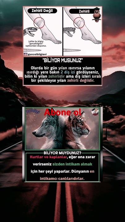 Shorts Trending Viralvideo Youtube