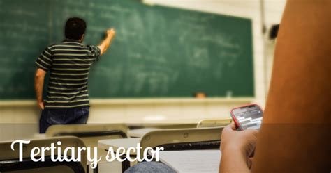 Tertiary Economic Activity Definition Background Examples Economic