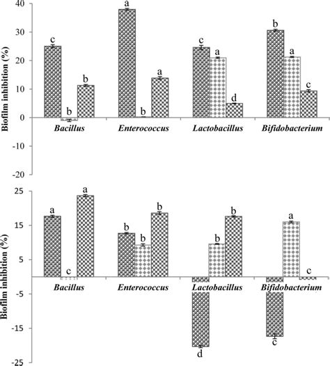 Inhibition Of H Pylori Biofilm Formation By Probiotics Sphere