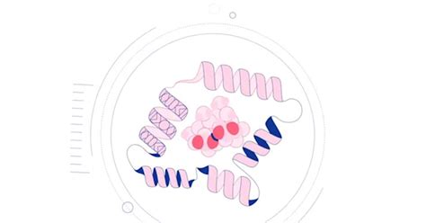 Alphabets Isomorphic Labs Is A New Company Focused On Ai Driven Drug Discovery Engadget