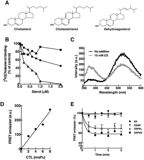 A Structure Of Cholesterol Dhe And Ctl B Osbp 20 Pmol Was