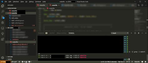 File Not Showing Up With Same Name But Different Case · Issue 1482 · Microsoftvscode Remote