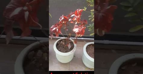 How To Install Sediment Water Filter Whole House Water Filtration System Sediment Water Pk