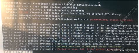 【银河麒麟v10】【服务器】启动network失败麒麟系统重启网络 Csdn博客