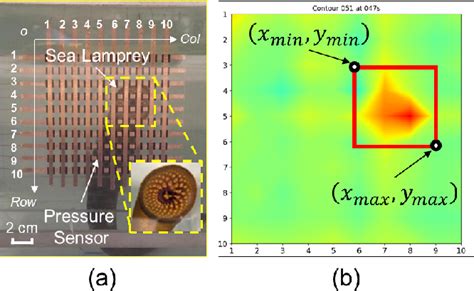 figure 1 from automated soft pressure sensor array based sea lamprey