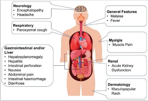 Dokterpost Webinar Skp Kemenkes Workshop Kedokteran