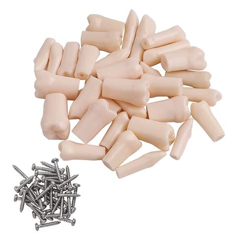 Bcenyaz Removable Teeth Piece For Typodont Teeth Model Detachable