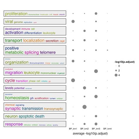 Summarize Simplifyenrichment Plots • Simplifyenrichment