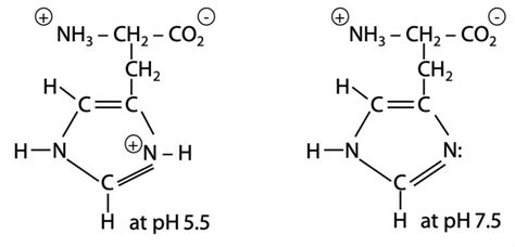 Amino Acid Properties Polarity And Ionization Bioc2580