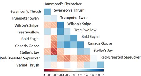 Estimated Latent Inter Species Correlation Matrix Produced By The Download Scientific Diagram