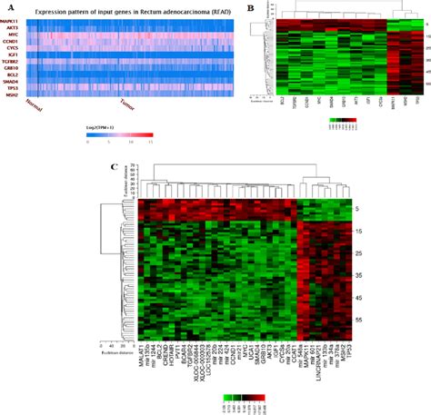 A Plot Heatmap To Show The Gene Expression Profile Of DEGs In Both