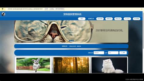 基于ssmvue宠物医院管理系统的设计与实现ssm宠物医院管理系统开发工具 Csdn博客