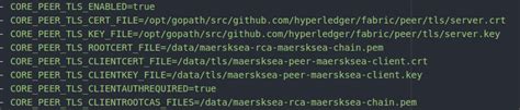 Hyperledger Fabric双向tls配置与连接方法 学习软件编程
