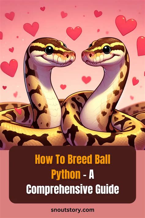 Ball Python Enclosure And Habitat How To Create An Ideal Enclosure