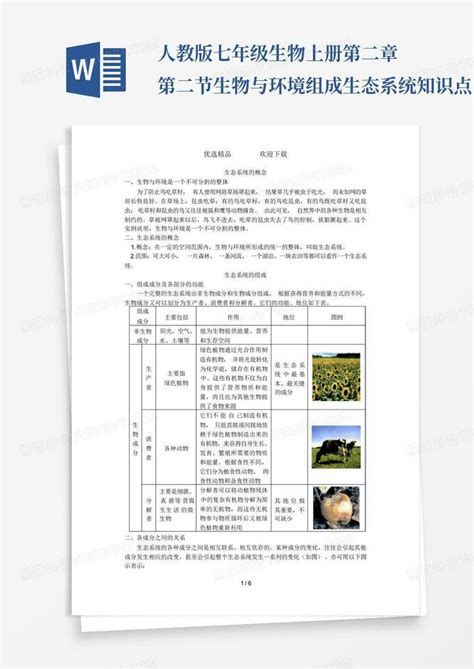 人教版七年级生物上册第二章第二节生物与环境组成生态系统知识点word模板下载编号qognmbdk熊猫办公