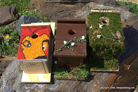 Tree Swallow Nest Box Project The Meadowlands Nature Blog