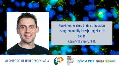Lecturepalestra Non Invasive Deep Brain Stimulation Using Temporally Interfering Electric