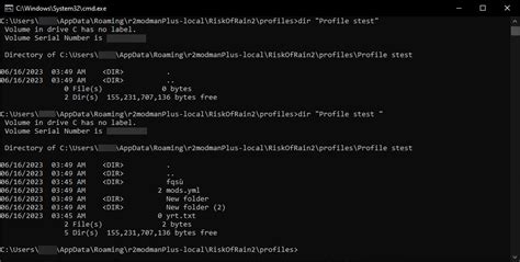 Bug Illegal Profile Folder Name · Issue 1038 · Ebkrr2modmanplus