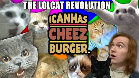 Cat Cheezburger Memes
