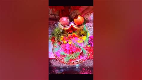 জয় মা তারা মা নতুন সাজে সেজে উঠেছে 🙏🌺🔱 ️🥰💒🧿 Lovegod Lovesong Shortsviral Video Youtubeshorts