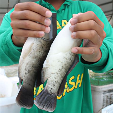 Is Basa Fish Healthy Examining The Nutritional Profile Benefits And Risks The Enlightened