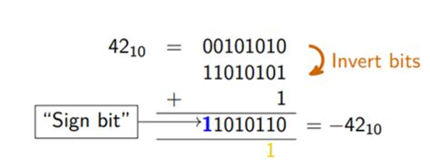 Variables Constants And Primitive Data Types Lecture 2 Flashcards