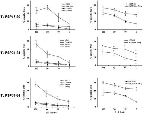 Functional Recognition Of Target Cells By Fsp Specific T Download Scientific Diagram