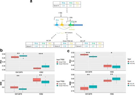 Modeling Transcriptional Regulation Using Gene Regulatory Networks Based On Multi Omics Data