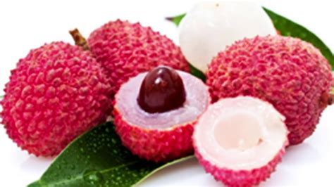 Что такое личи фрукт 101 фото НА ДАЧЕ ФОТО