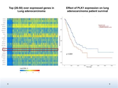 Ualcan User Friendly Portal To Analyse Tcga Rna Seq Data Ppt