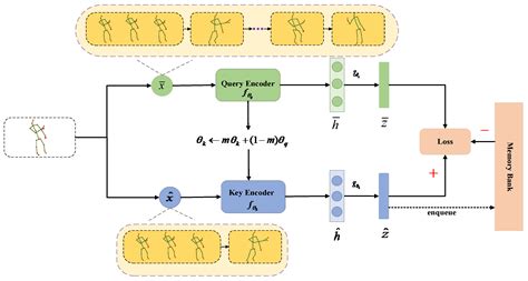 Self Supervised Action Representation Learning Based On Asymmetric