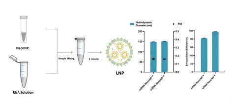 Lnp Based Rna Transfection • Nucleus Biotech