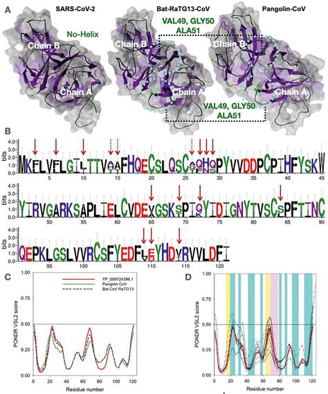 Comparative Sequence And Structural Analysis Of Sars Cov 2