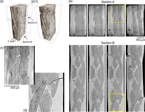 In Situ Tomography Of Csic Composite With Textile Based Carbon Fiber Download Scientific