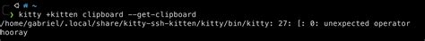 Automatically Downloaded Kitty Binary On Remote · Issue 5025