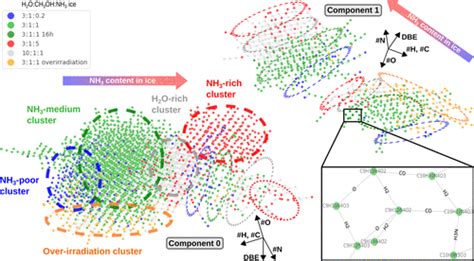 network analysis reveals spatial clustering and annotation of complex