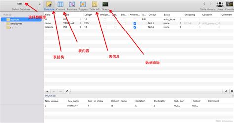 mac sequelpro下载和使用教程 csdn博客
