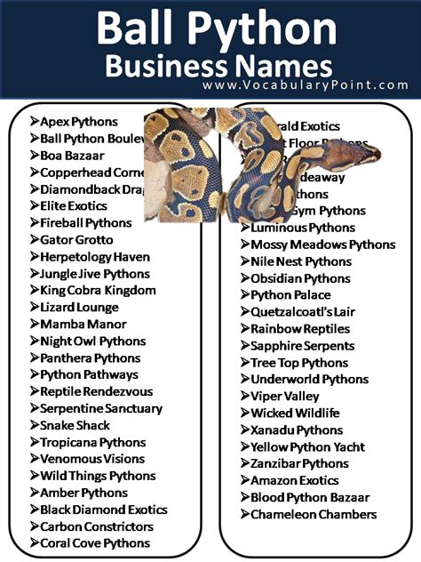 250 Cool Ball Python Names Vocabulary Point