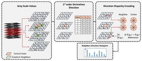 Algorithms Special Issue Algorithms For Computer Aided Diagnosis