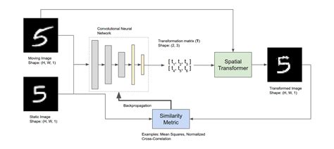Deep Learning Based 3d Deformable Registration Of T1 Weighted Images