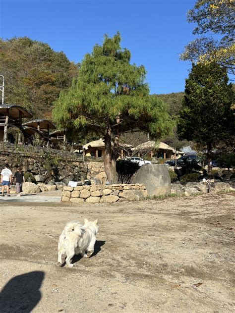 [하동펜션] 아름다운 산골 바베큐 핀란드 사우나 추천 네이버 블로그