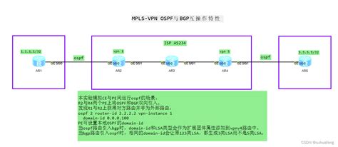 【hcie】mpls Vpn Ospf与bgp互操作特性（domain Id）ospf Domain Id Csdn博客