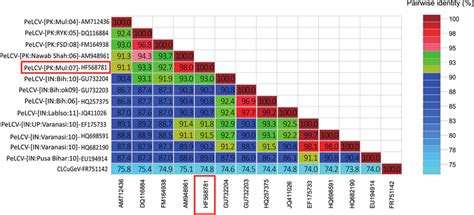 Nucleotide Pairwise Identity Color Matrix Of Pelcv Genomes Complete
