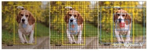 Yolov3 Yolov7变化 知乎